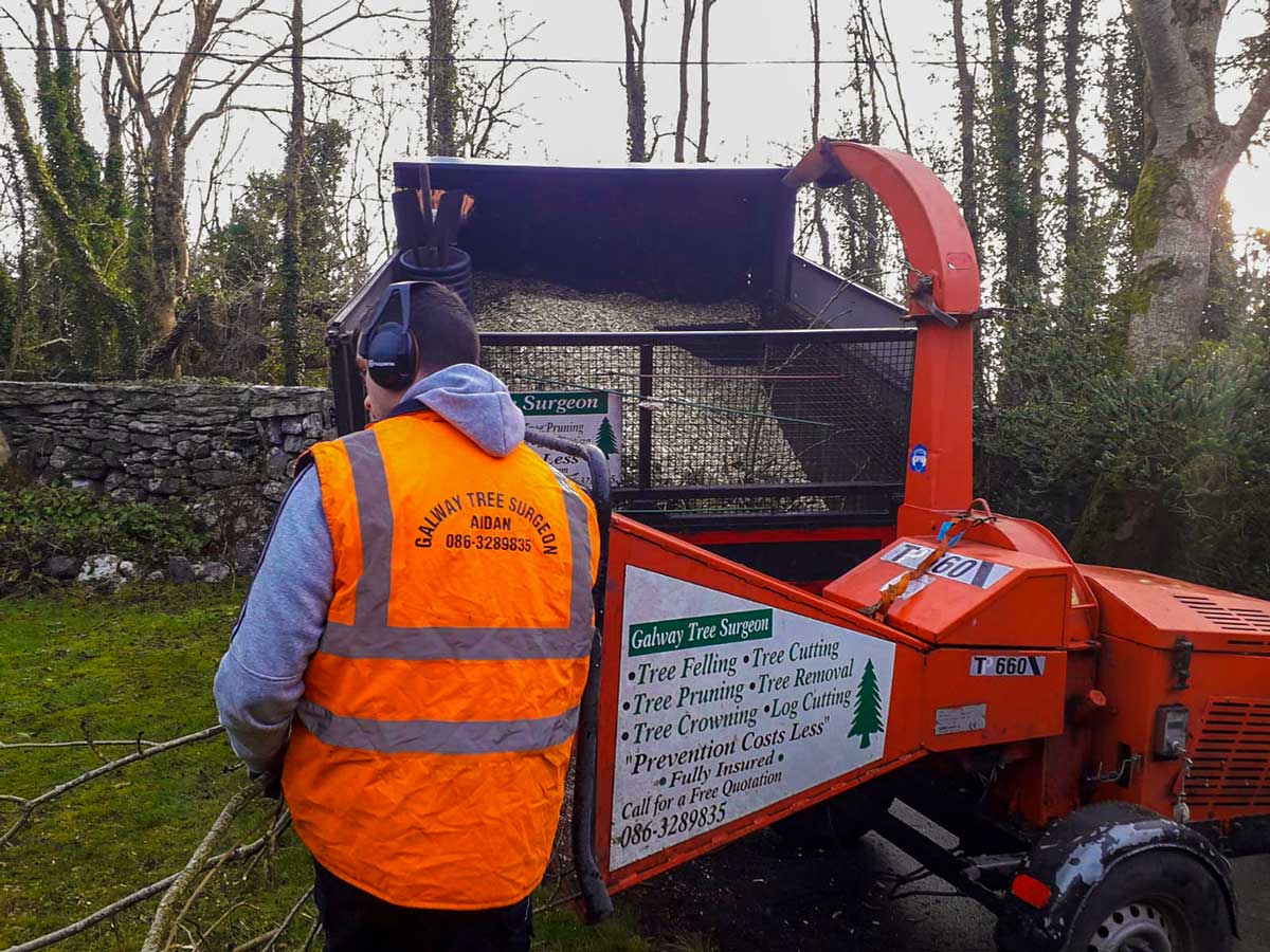 Galway Tree Surgeons